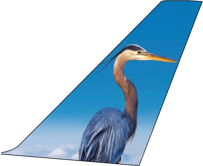 Our Customers | Jackson Square Aviation